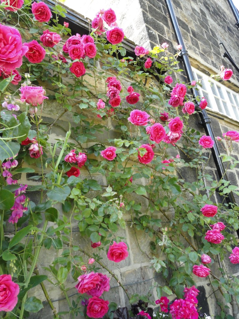 Gardening In October... Autumn is on its way! - Yorkshire Reporter