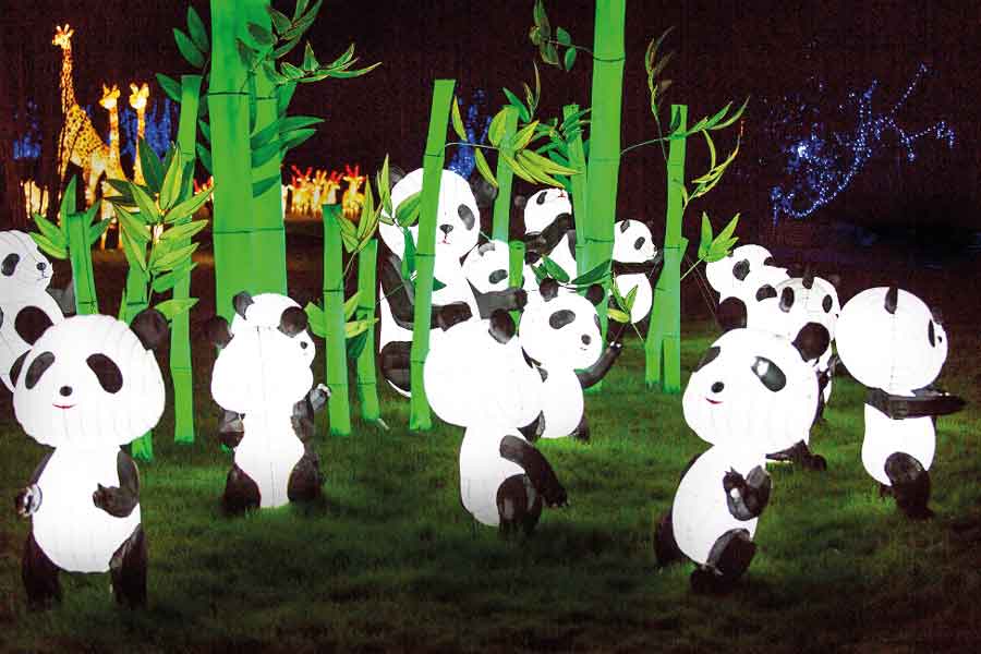 UK’s Biggest Lantern Festival To Light Up Yorkshire - Yorkshire Reporter