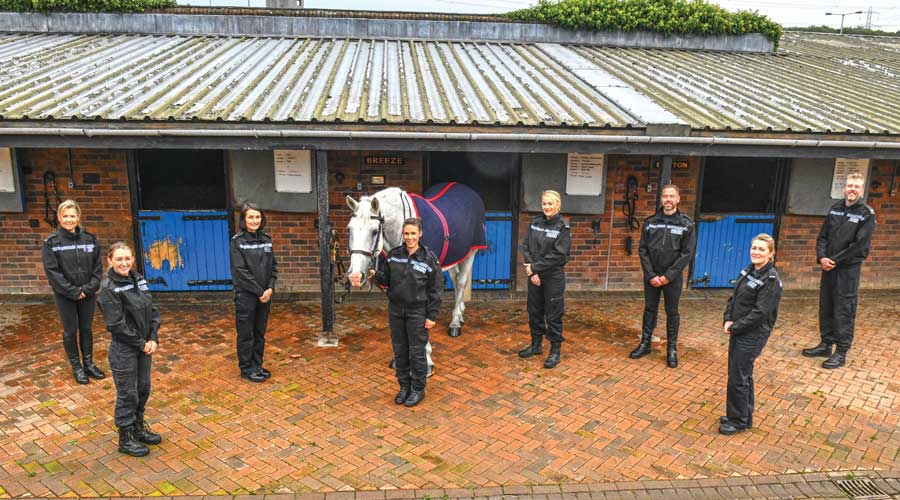 Police Horse 'Trots' Into Retirement After 11 Years’ Service ...